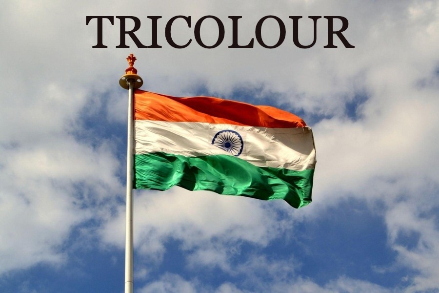 Tricolour | Law Wire